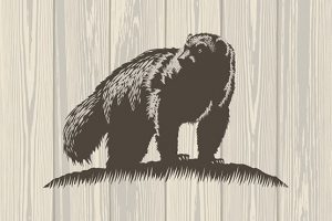 Who is Wolverine Pipe Line Company? - Wolverine Pipe Line