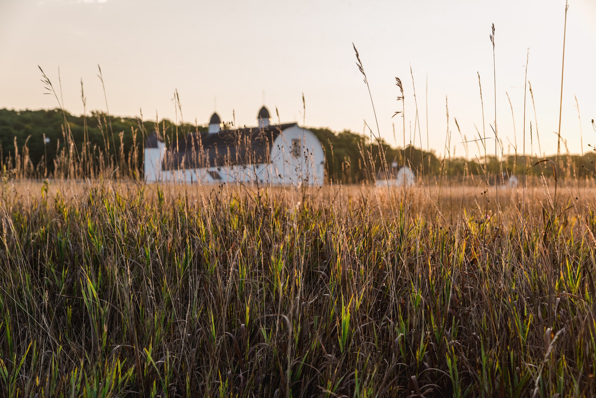 Community - Wolverine Pipe Line